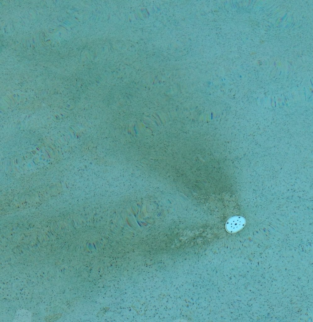 Pool Stain Removal 101 | A Quick Guide To Removing Pool Stains